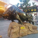 YANLI YanLi 