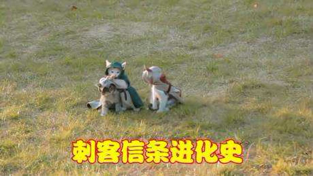 刺客信条逐年进化史,刺客不再是游戏灵魂,游戏跟初代渐行渐远