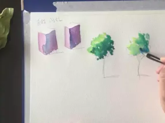 w水彩画提高级课程 前期学习内容重点和疑点讲解二 2019-11-12