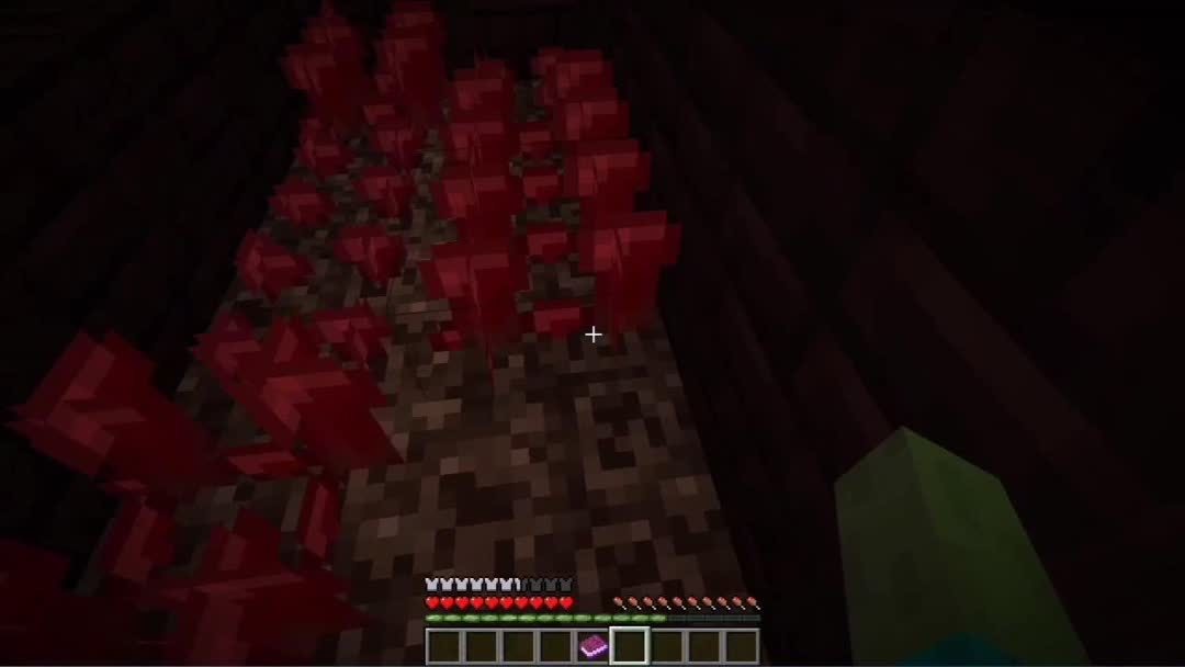 我的世界 呆呆化身成僵尸,终于找到地狱疣