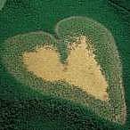 viewview1478915838291425 