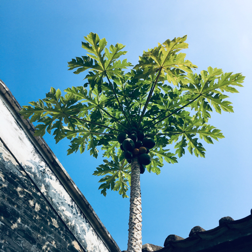 胡说申论-遴选-面试 