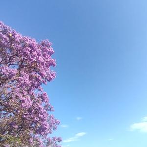 云南三校生培训班 