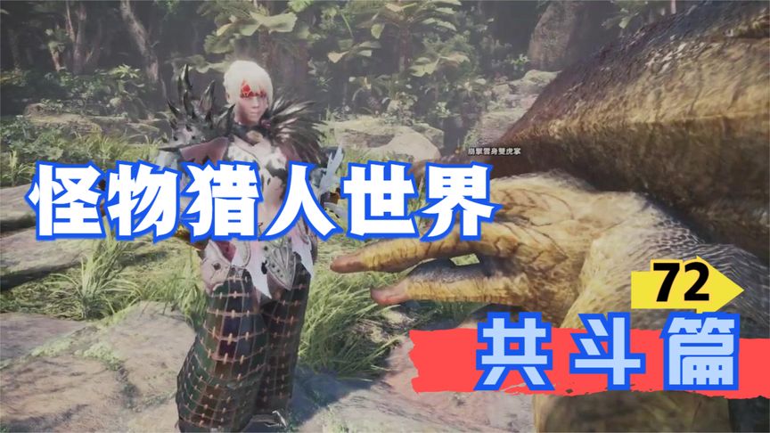 《#怪物猎人世界》全流程实况 共斗攻略 (72)