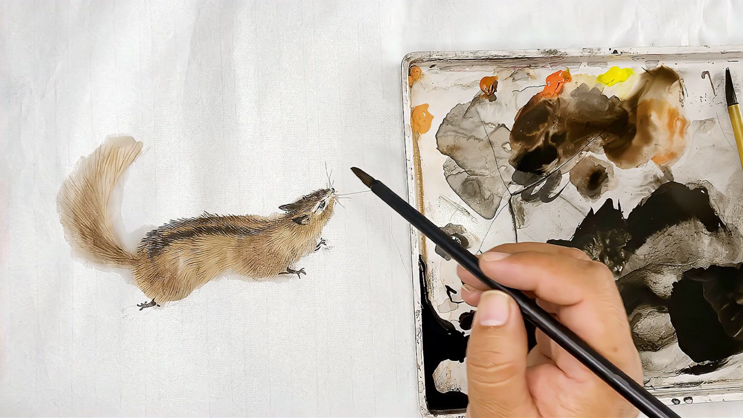 中国画:动物画法丝毛法-花松鼠的画法四