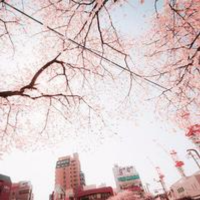 曾水燕文化 