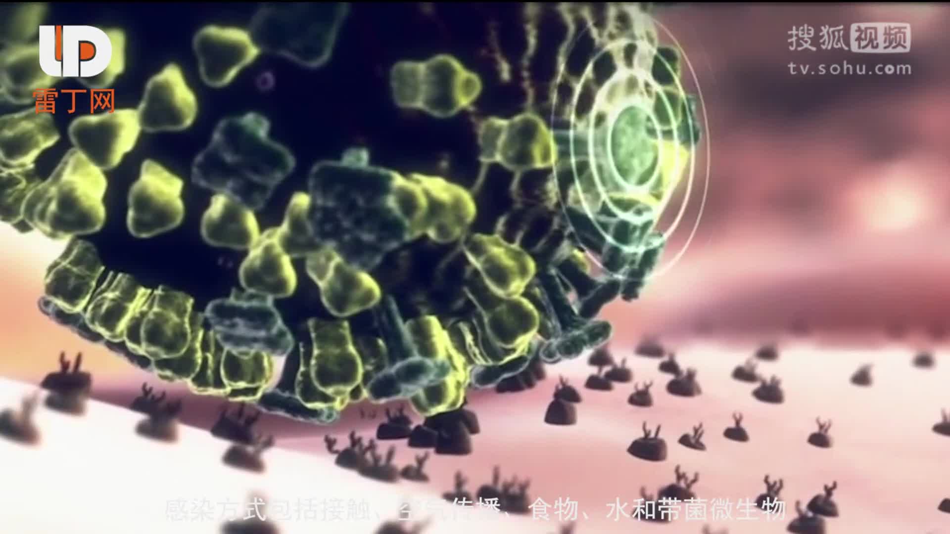 毛骨悚然的细菌分裂画面:密集恐惧症患者慎点