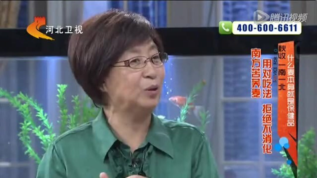 南方苦荞麦如何发挥三重降糖功效