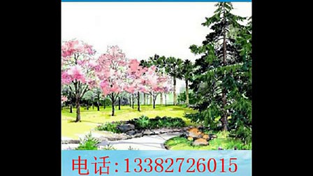 园林效果图设计,园林效果图,园林效果图设计制作