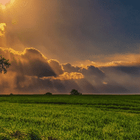 小蔡简笔画课堂 