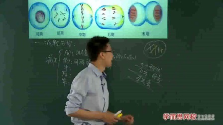 高二高中高考生物超级好课程必看视频1.2减数分裂的过程