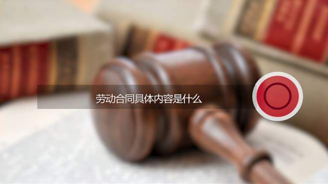 劳动合同具体内容是什么