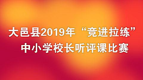 2019校长听评课24-专家点评-王渠