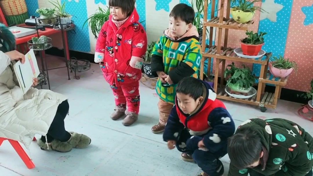 小树苗幼儿园小班教学展示