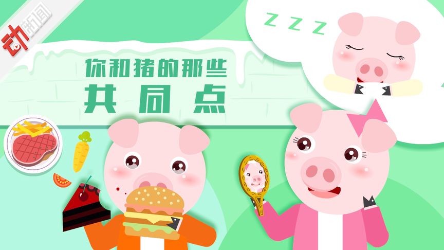 猪年硬核蹭热点!你和猪哪一点最像?这些回答很真实了