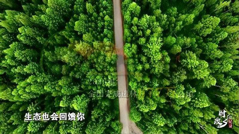时政微纪录丨爱绿 植绿 护绿——总书记牵挂的那一抹绿