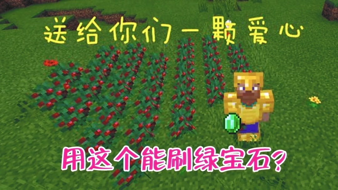 我的世界:这个还能刷绿宝石?10颗浆果就能发财!发现宝贝了!