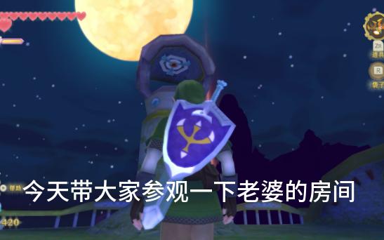 【塞尔达天剑】今天带大家参观天剑塞尔达的房间