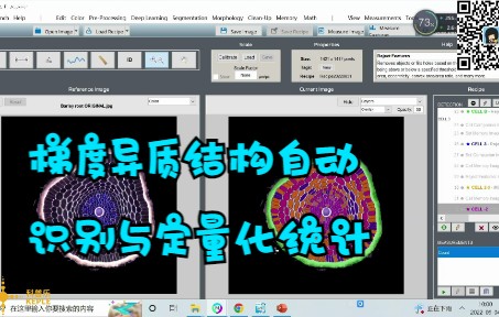 MIPAR第15期:梯度异质结构自动识别与定量化统计