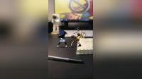 爆笑动画:在我地盘这你们得听我的