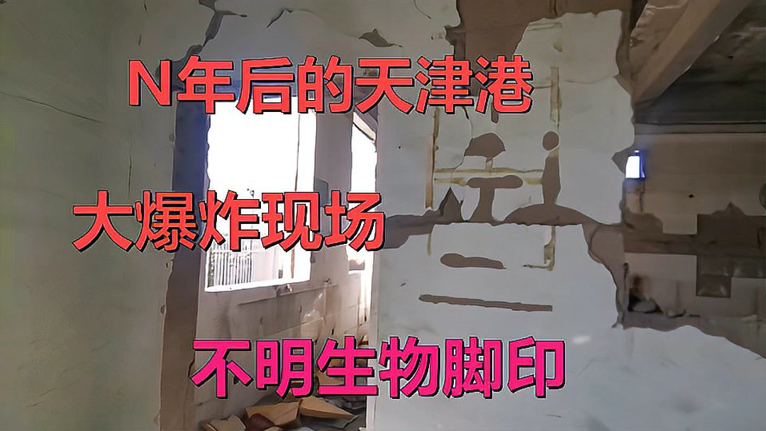 天津港大爆炸现场几年后怎么样了,中央大水池。还有不明生物脚印