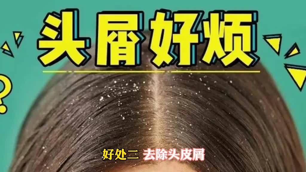 艾叶的三大功效,有助于改善睡眠,祛除头皮屑,促进血液循环