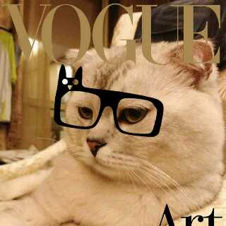 一只不着急的羊咩咩 