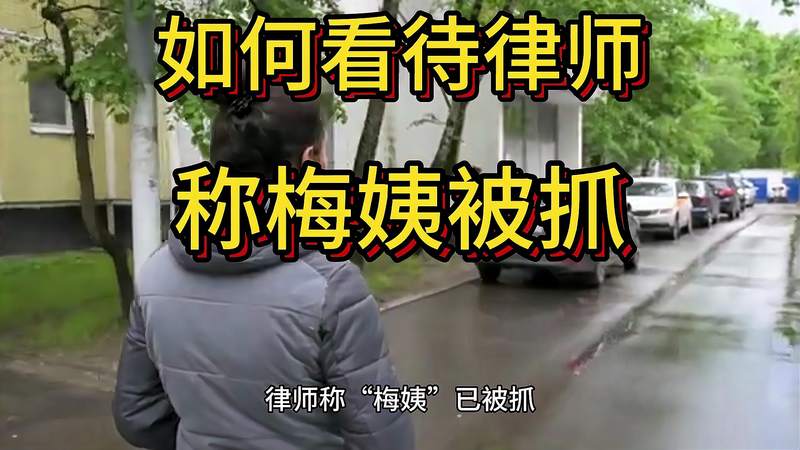 律师称“梅姨”已被抓,广州警方:目前暂未抓获嫌疑人