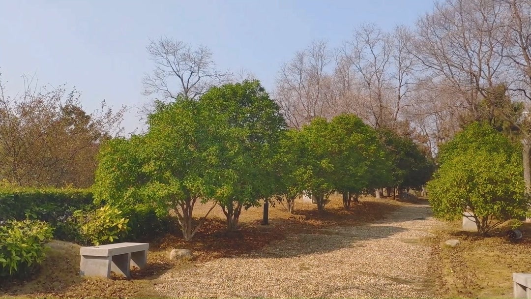 占地面积近2580亩的学院