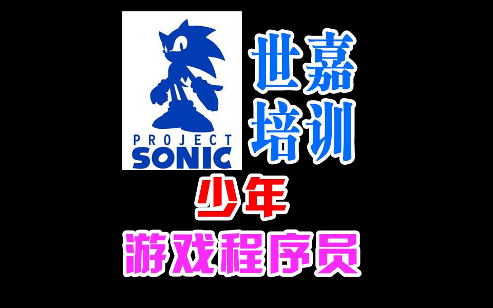 【世嘉新人培训4】C语言流程控制,少年编程基础,青少年游戏开发基础