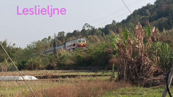 厦门北至昆明K230次列车下行经过广梅汕铁路