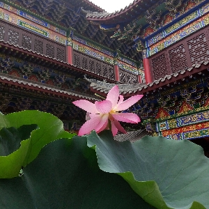 箫潇雨歇_ 