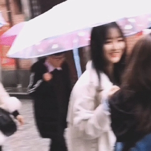 -新雨后 