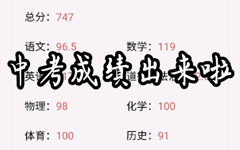 2022届中考东莞学子查分实录