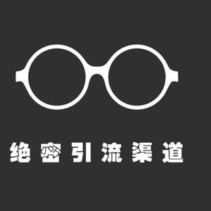 引流电商 