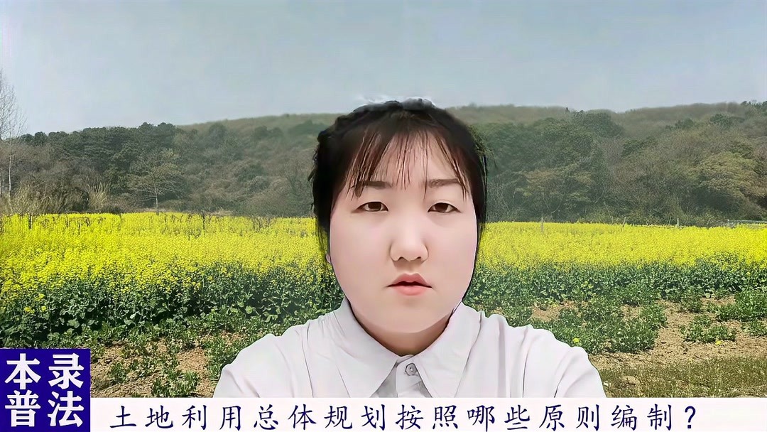 土地利用总体规划编制的原则