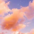 白萱清拧 