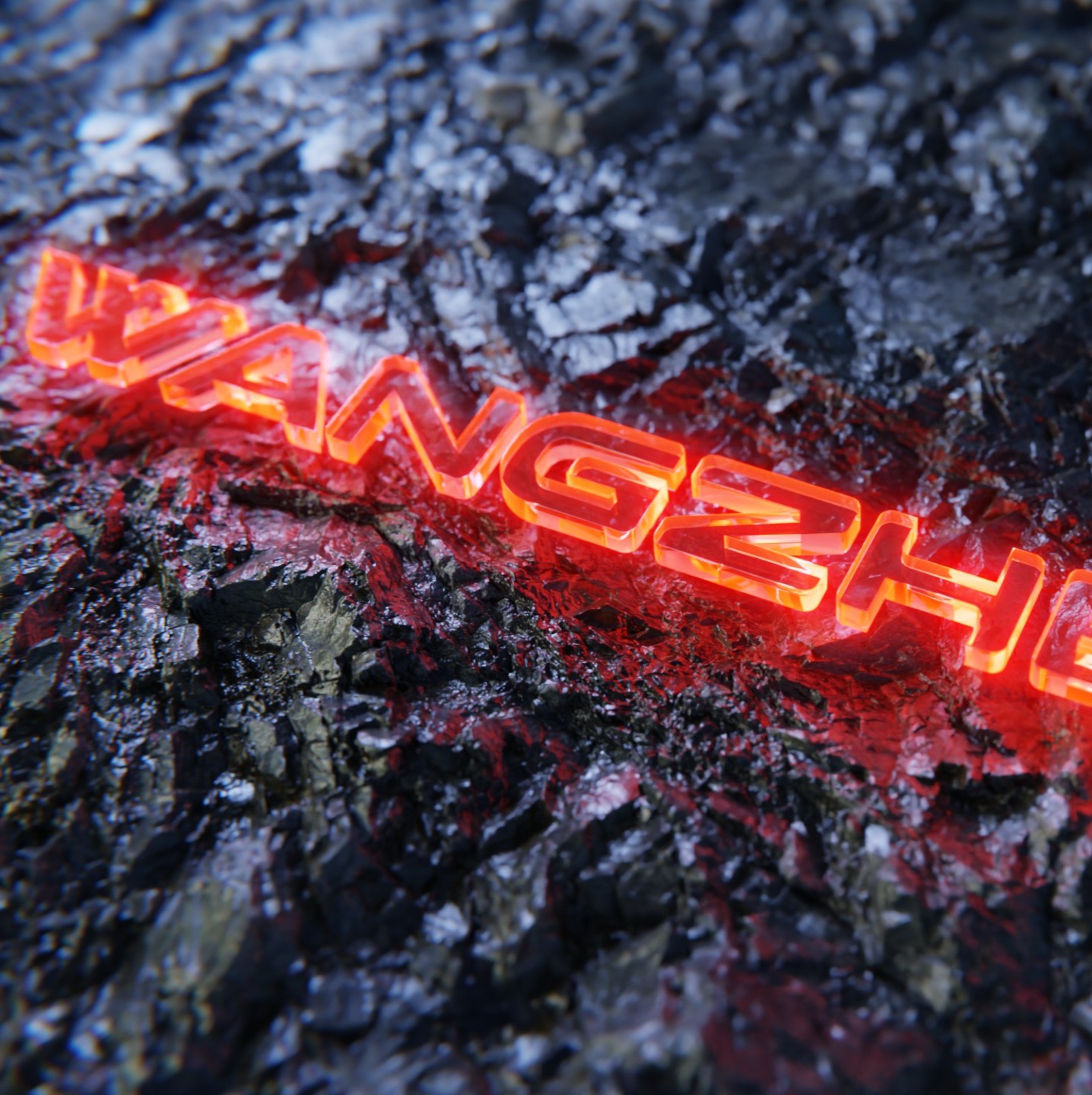 不愿意透露姓名的dog 