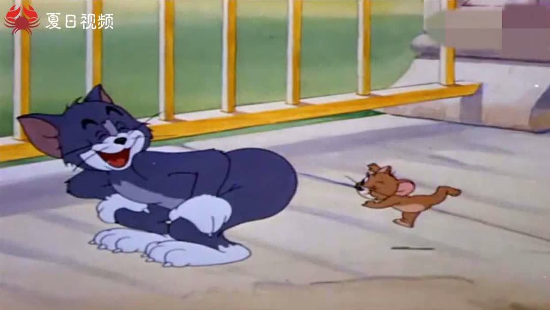 猫和老鼠:(高清国语版)猫与老鼠的智慧较量