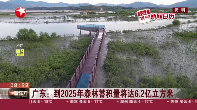广东:到2025年森林蓄积量将达6.2亿立方米