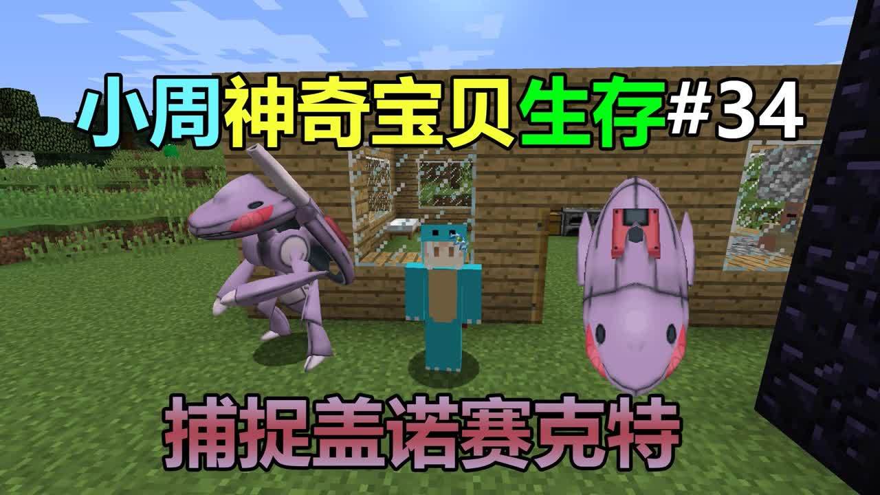 我的世界小周神奇宝贝生存34:捕捉神兽盖诺赛克特!