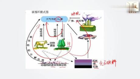 永不消失的物质生态系统中的物质循环