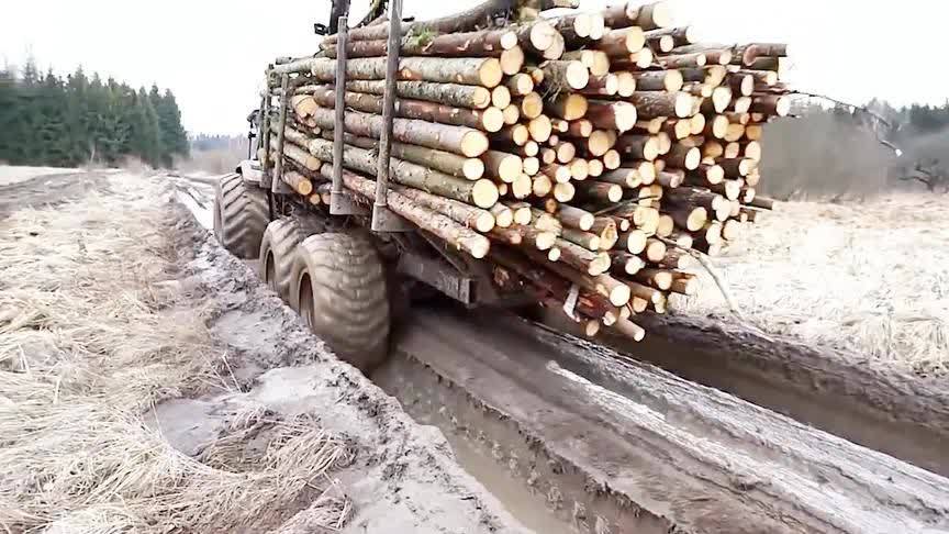 树木砍伐后,是如何运输出去的?看完以后大开眼界了