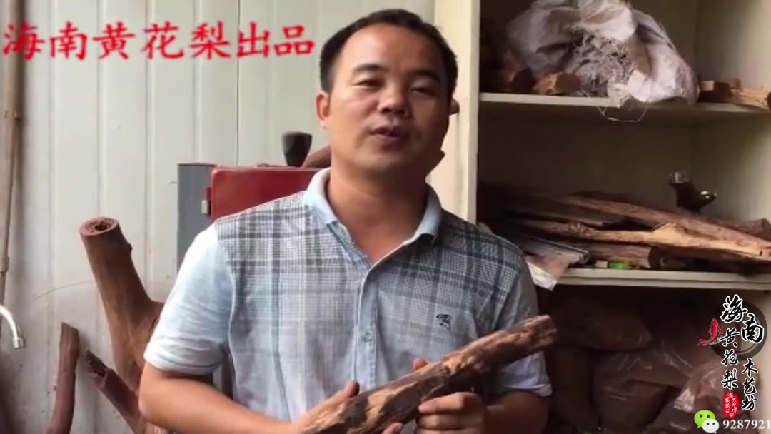 黄花梨科普:如何鉴别海南黄花梨木的产地?