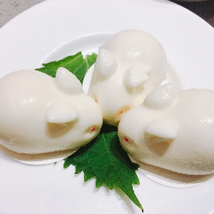 辉腾之光 