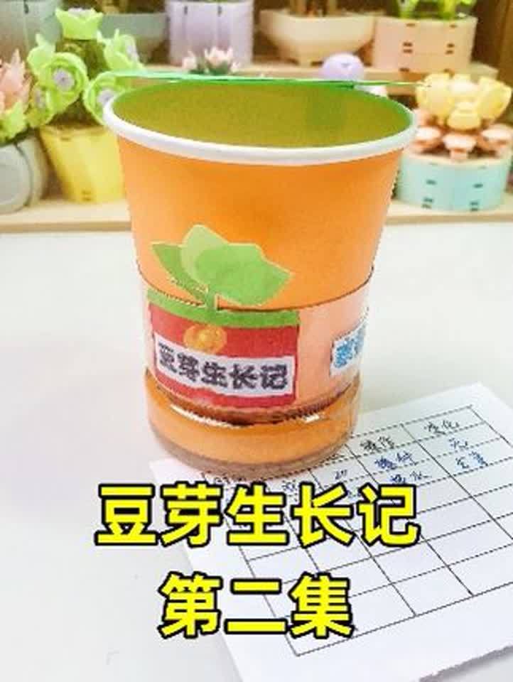 ...豆芽生长记第二集,给豆芽换水,制作种植卡片,记录观察内容!#豆芽种...