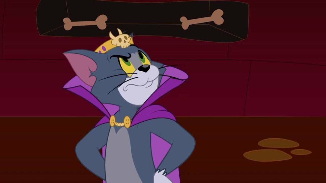 儿童动画;15猫和老鼠