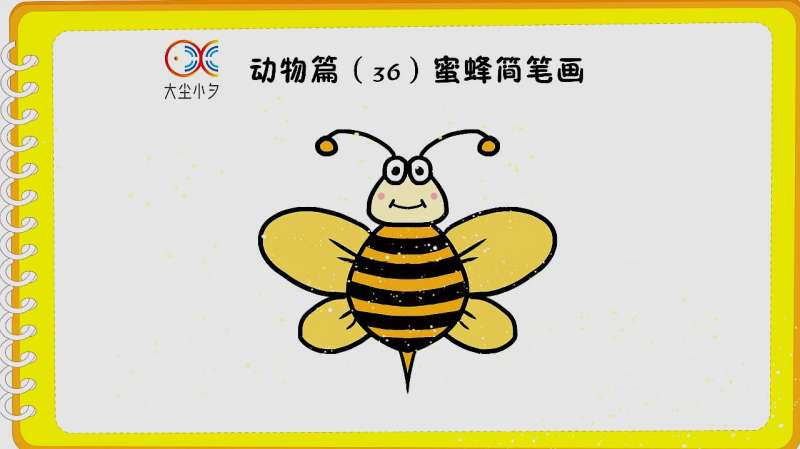 动物篇(36)蜜蜂简笔画