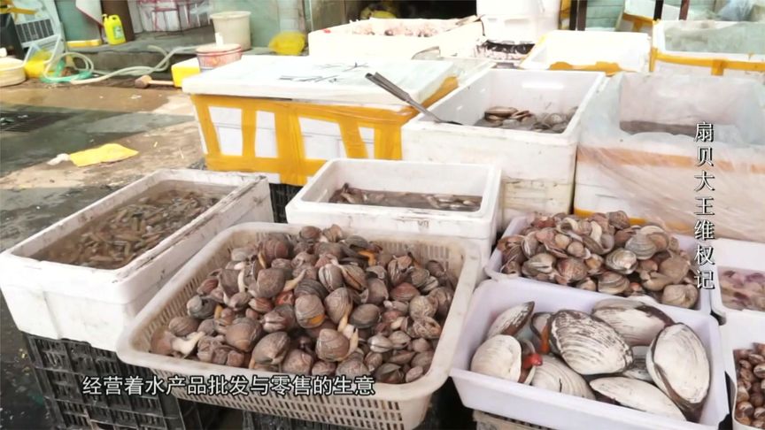 法治:扇贝大王加入水产批发行业协会,刚进不久被切断货源,迷惑