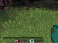★我的世界★Minecraft《籽岷的模组介绍 1.10原版趣味模组》